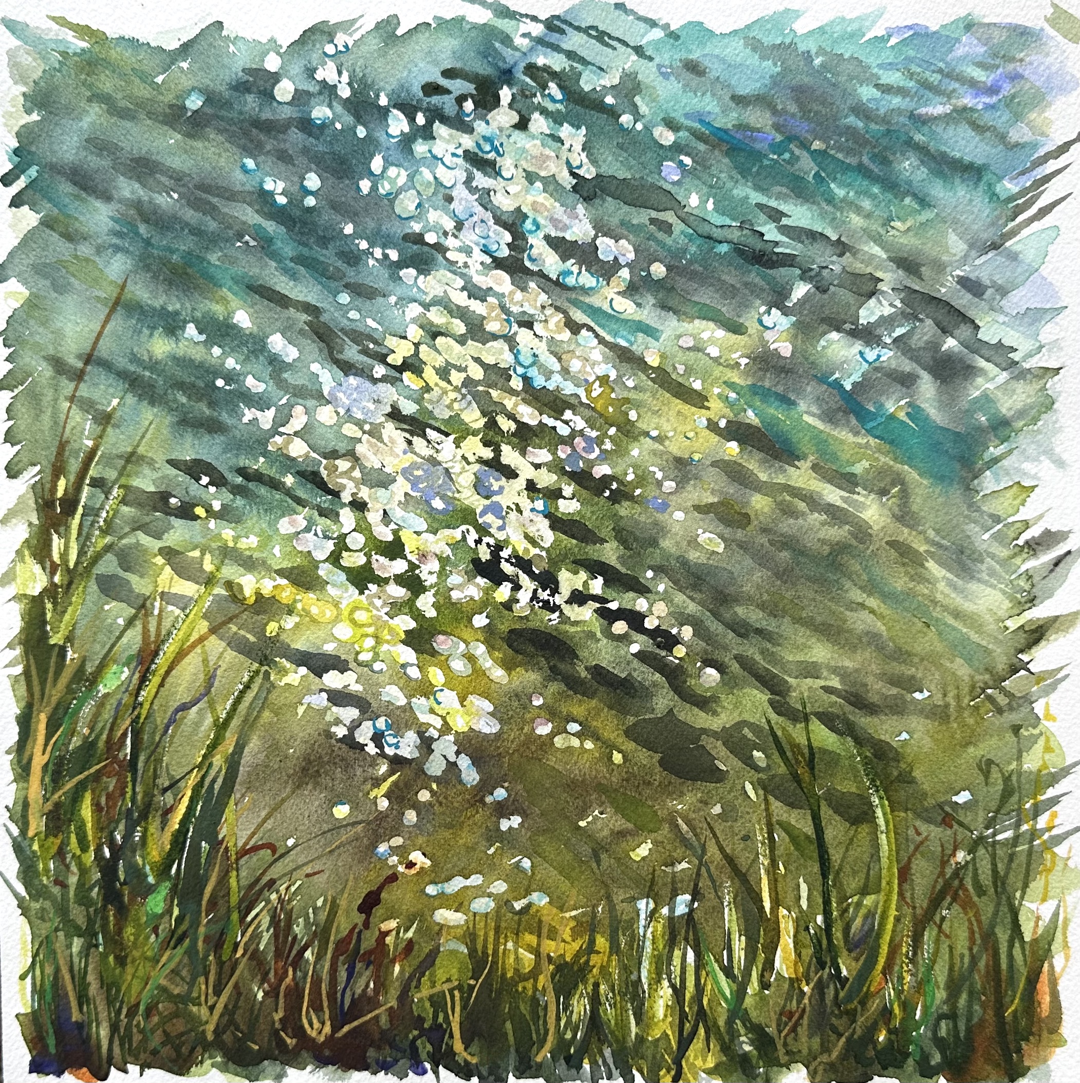 Shorelines – sarah.connell. campbell.art